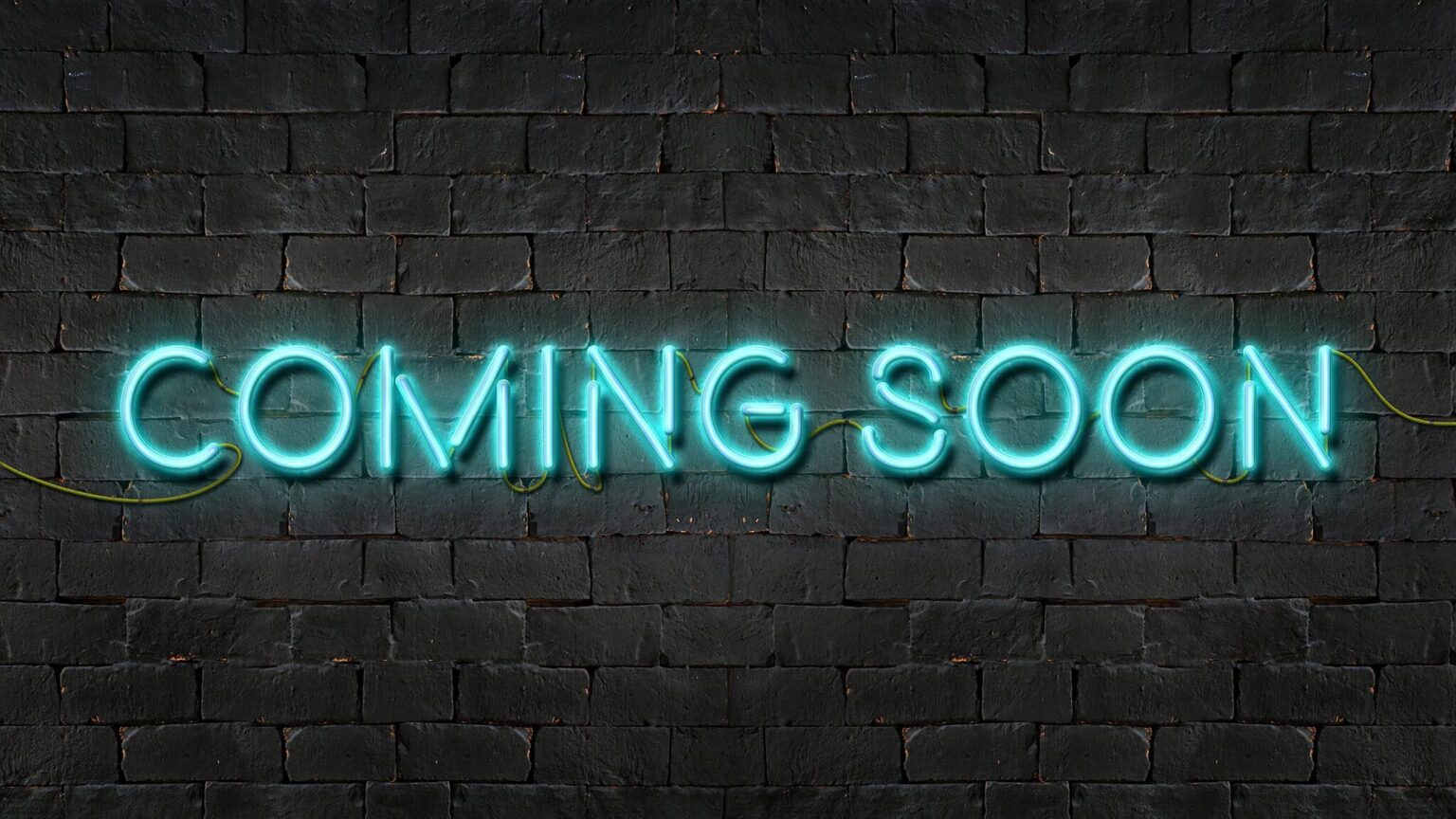 Photo Gallery – CyberShield Showdown CTF 2025